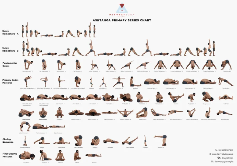 200H Hatha & Ashtanga Yoga TTC Kerala | Course Requirements